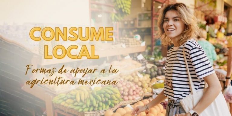 Consume local - Formas de ayudar a la agricultura mexicana - Kupalin